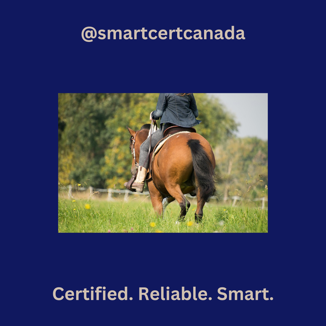 Cross Training for Your Horse’s Fitness – EquiSMART