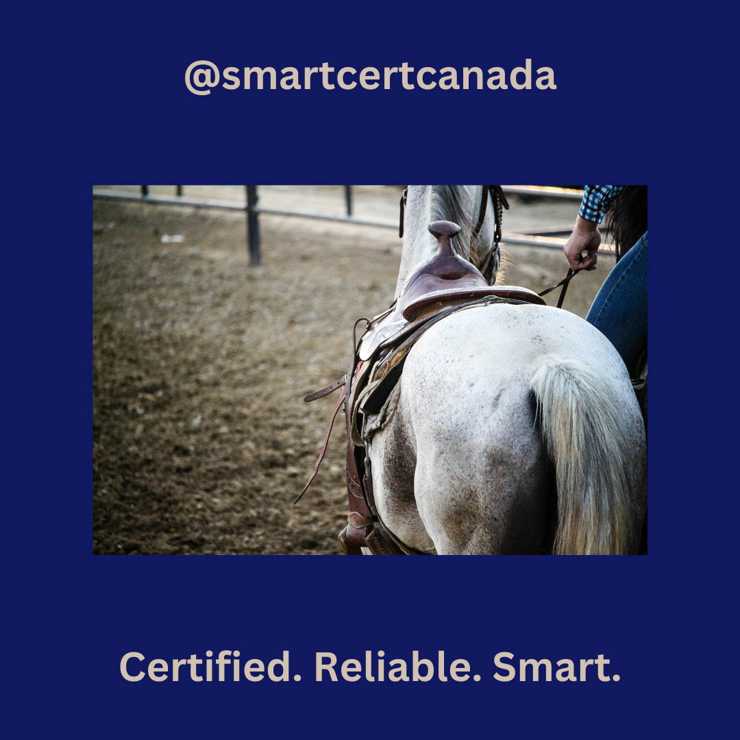 Massage Therapy for the Green Horse – EquiSMART